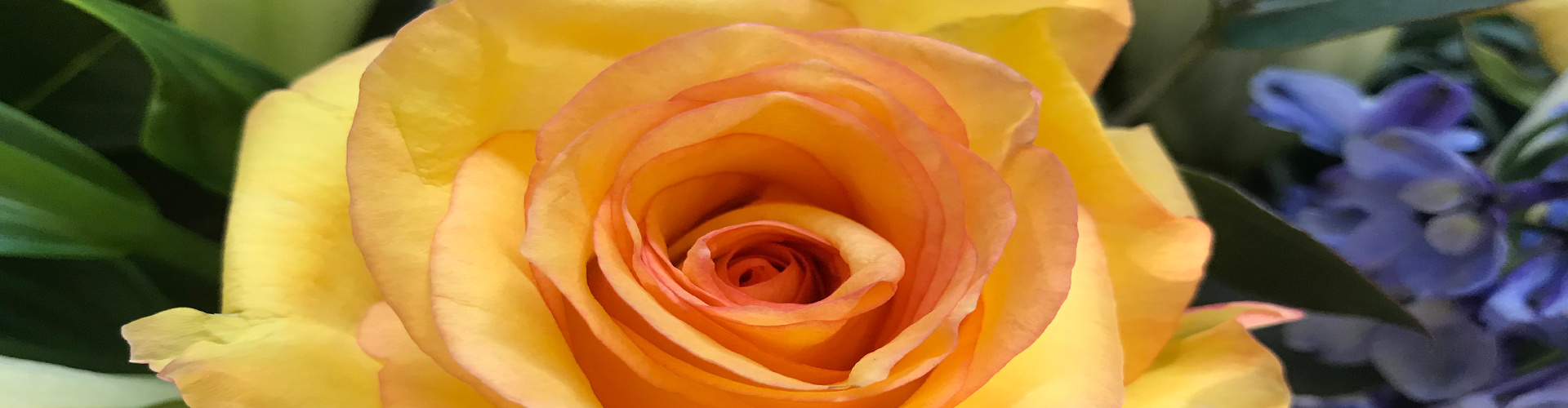 Chas.A.Nethercott & Son Limited - Our Staff